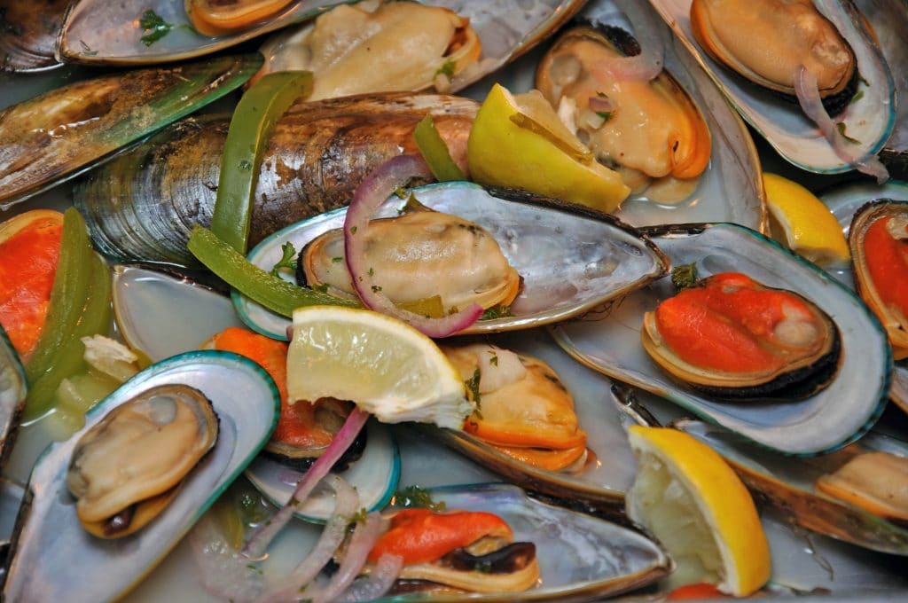 New Zealand Mussel Meat 500g | Frozen Fish Direct