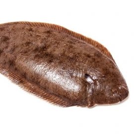 Poached Sole with White Wine Sauce - Frozen Fish Direct