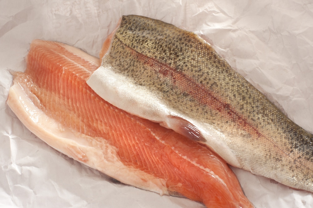 Trout Fillet 6-750gram - Frozen Fish Direct
