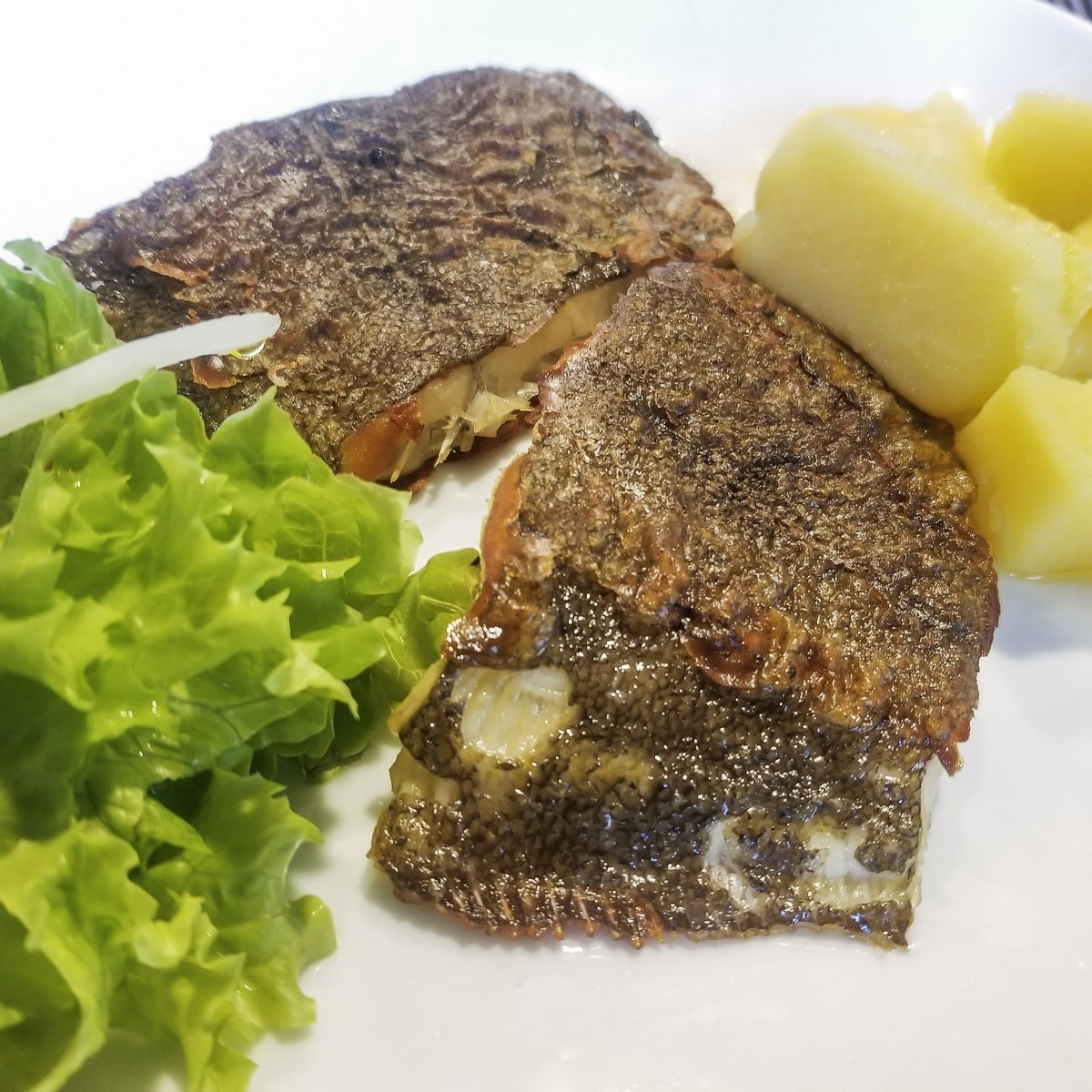 Brill Fish – Frozen Fish Direct