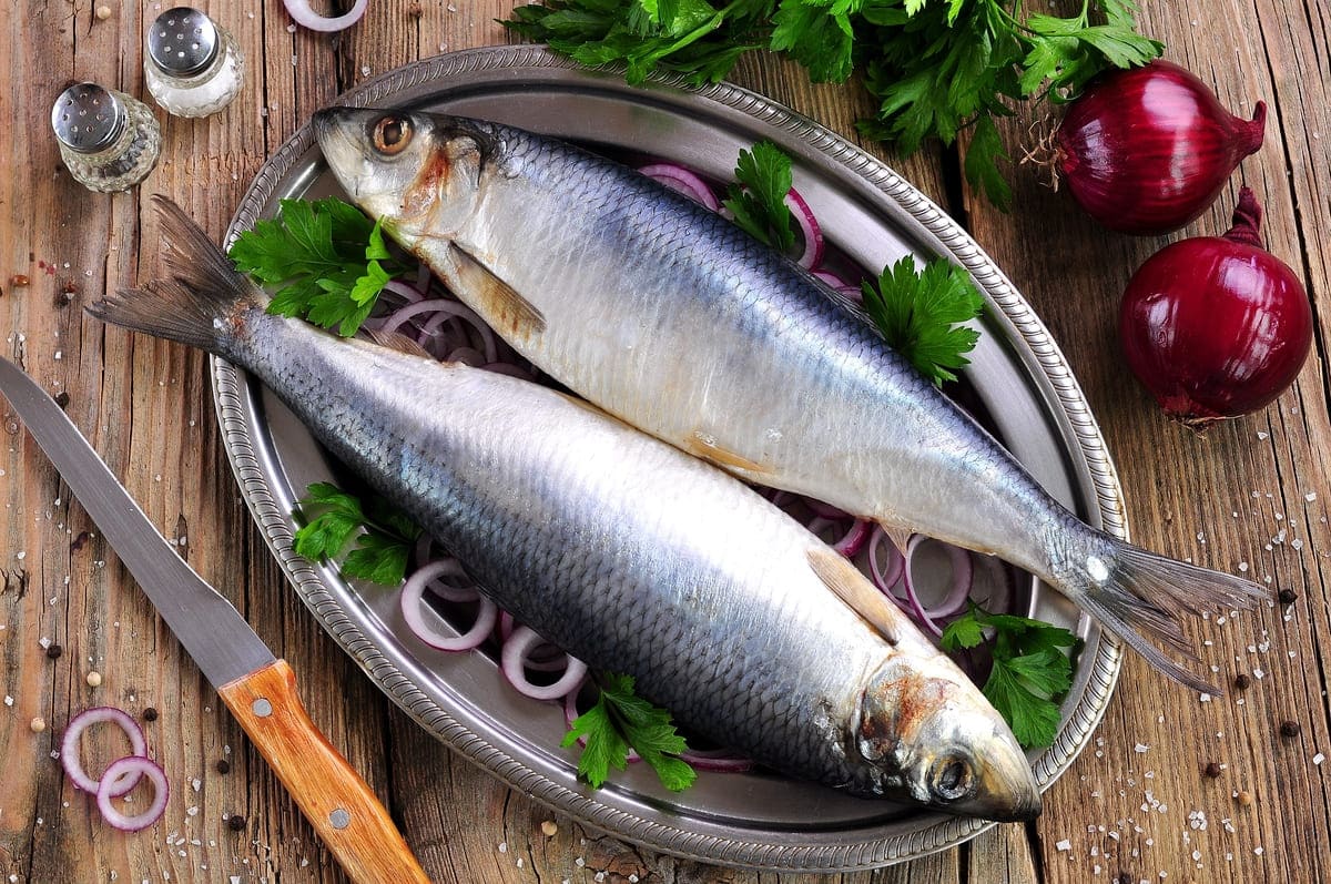 Herring Fish – Frozen Fish Direct