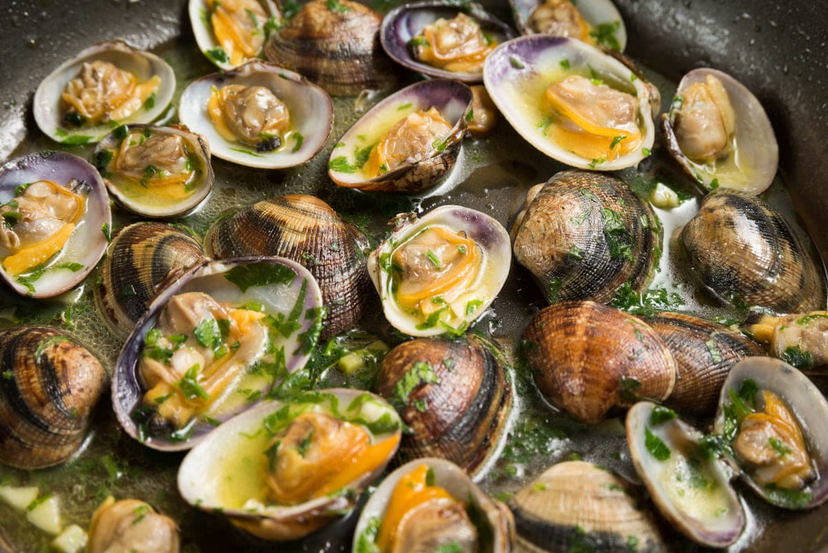 Clams – Frozen Fish Direct