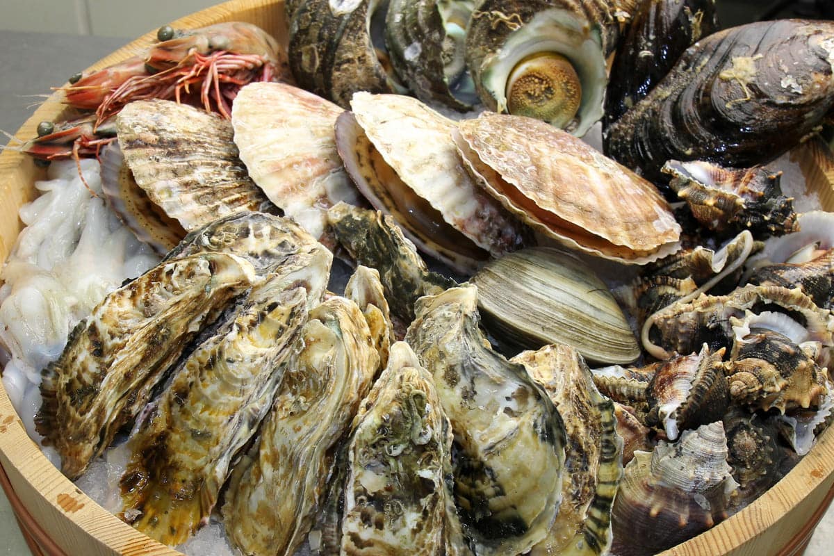 Shellfish – Frozen Fish Direct