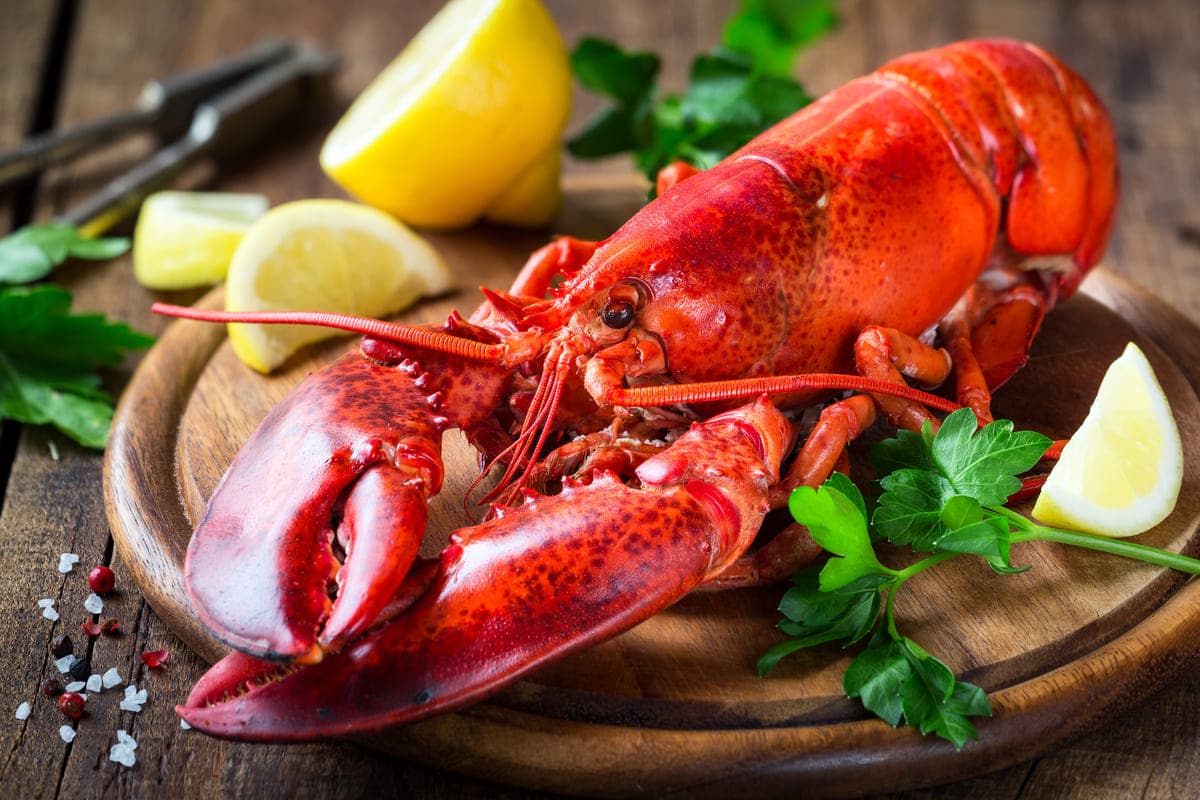 Lobsters – Frozen Fish Direct