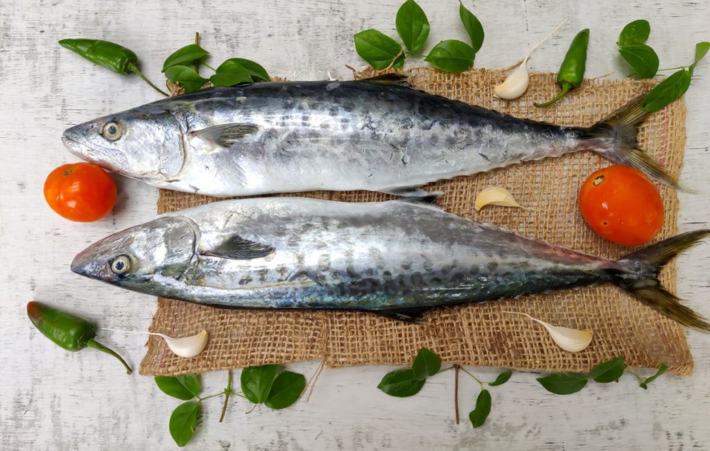 King Mackerel – Frozen Fish Direct