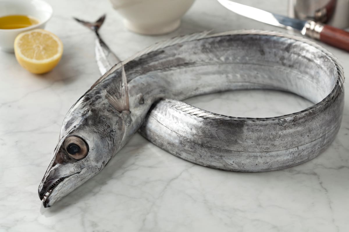Ribbon Fish – Frozen Fish Direct