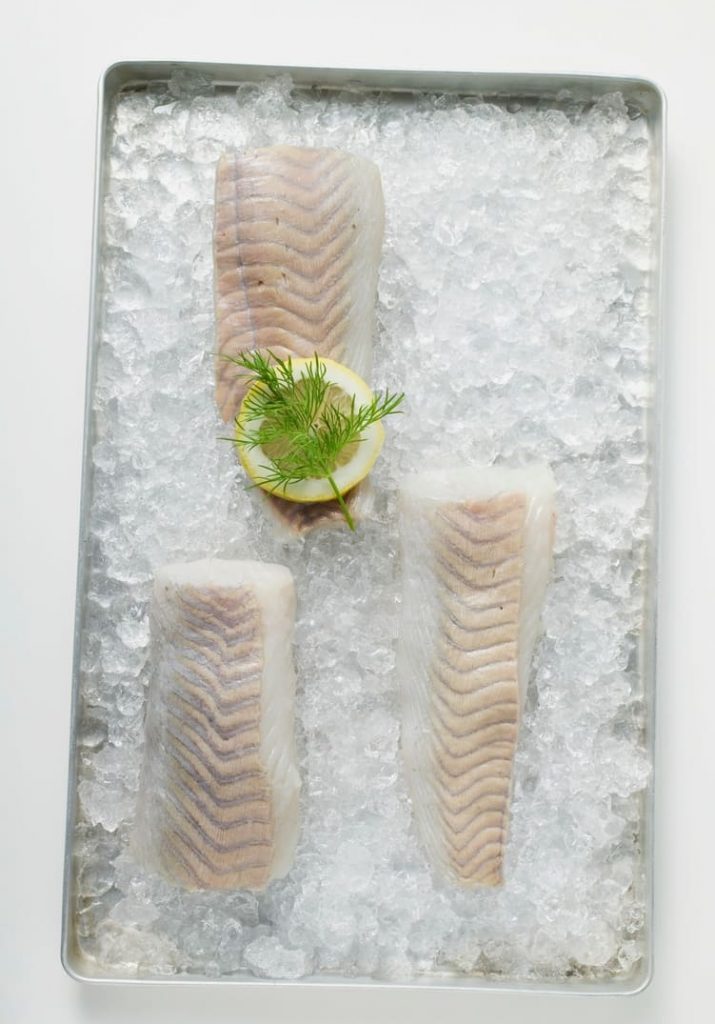 Coley Fish – Frozen Fish Direct