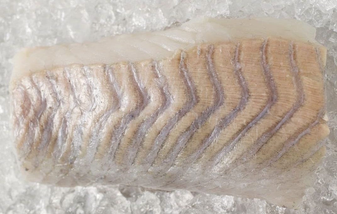 Coley Fish – Frozen Fish Direct