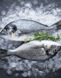 Buy Frozen Fish & Seafood Online | Frozen Fish Direct
